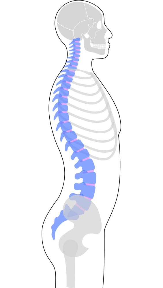 Types of Poor Posture | Osteopath In London | MHV Clinic