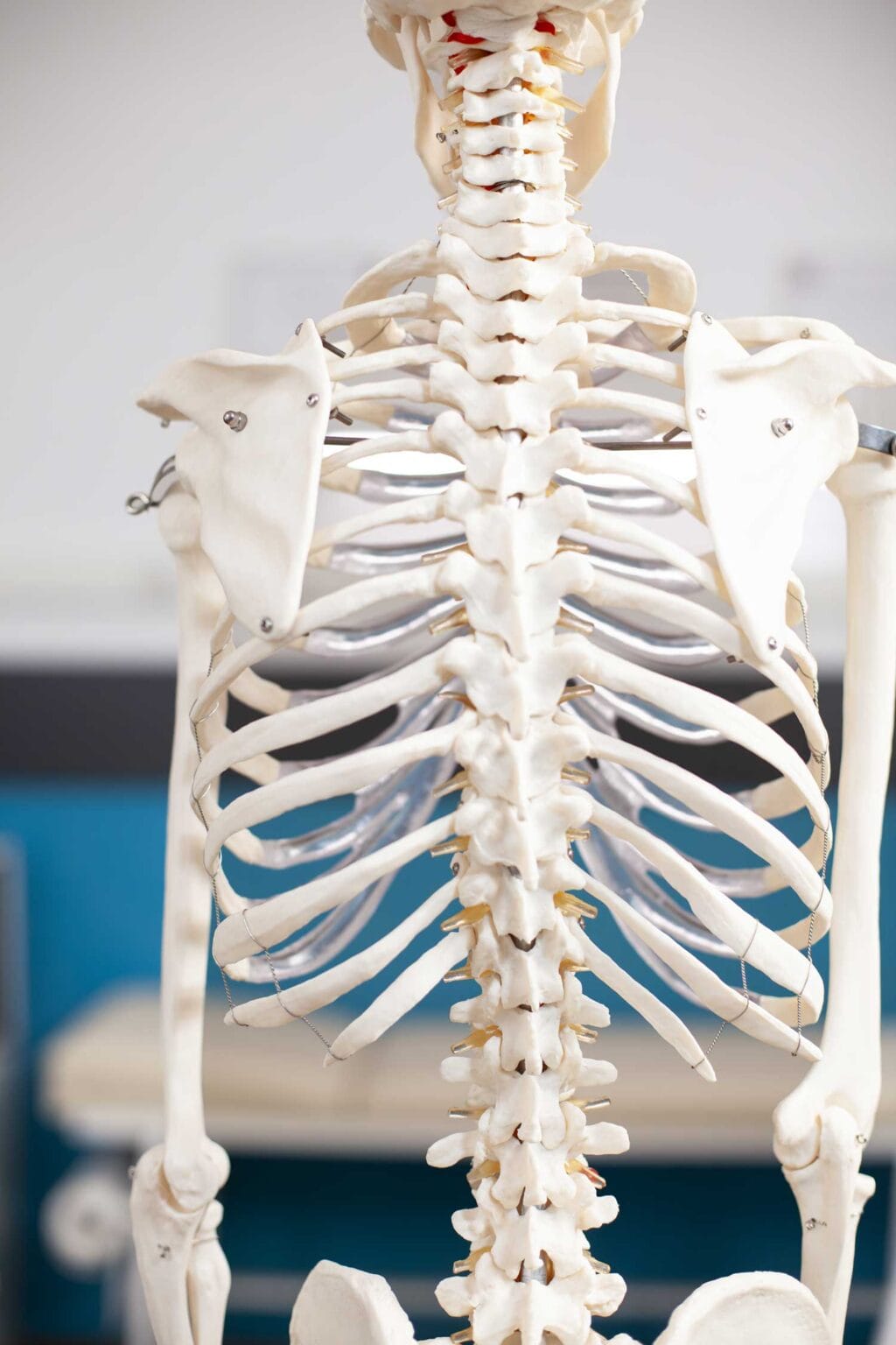 Ribcage Mobility Exercises Routine | MHV Clinic