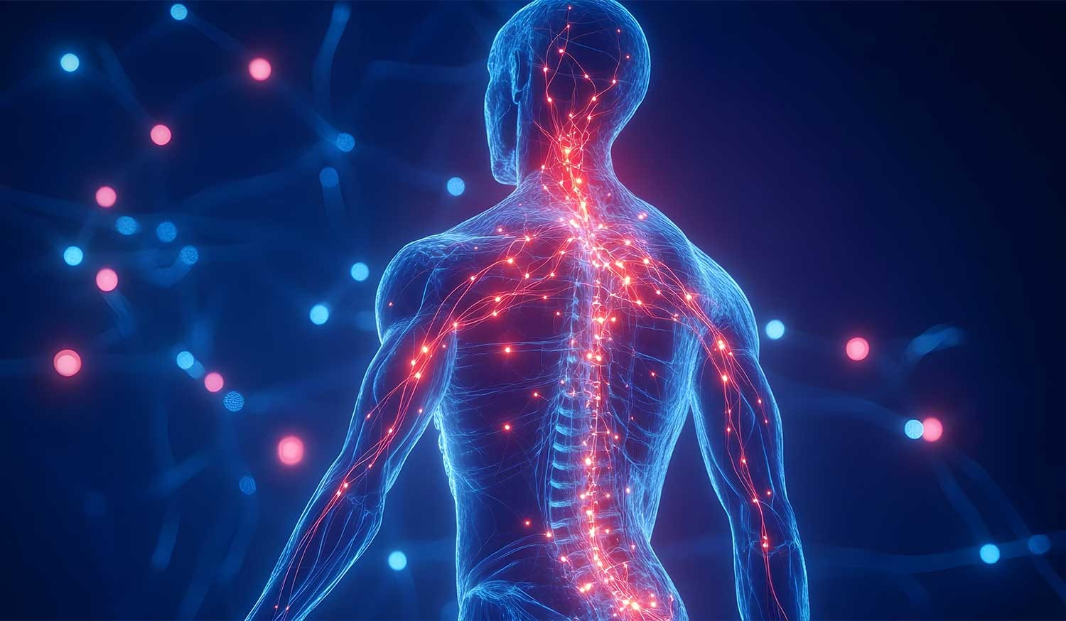 IASTM Osteopath Treatment For Fibromyalgia | MHV Clinic